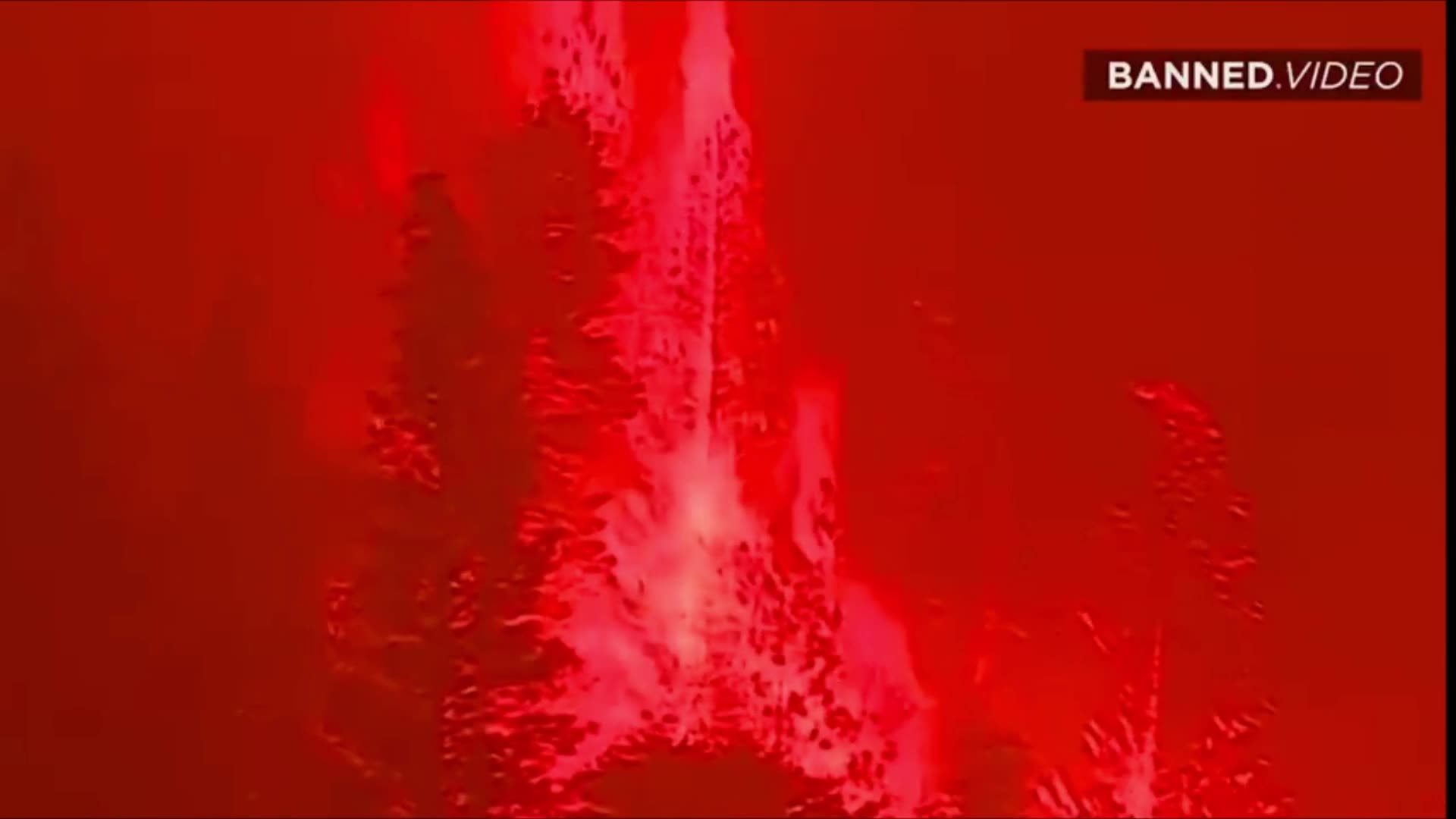 "What They're Telling You On The News Is NOT TRUE And I Lived It First ...